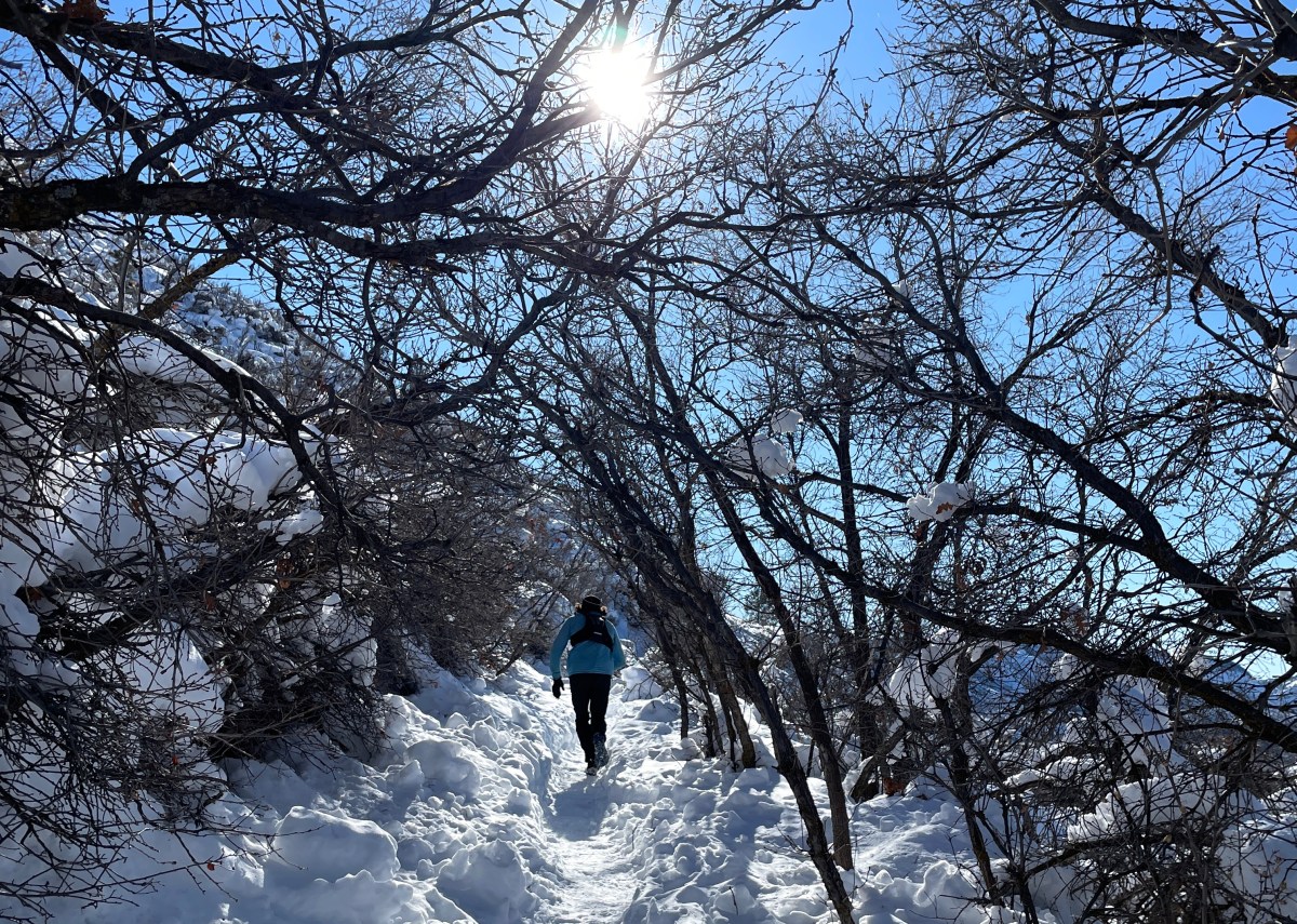 Moonbox Notes #11: January 2023